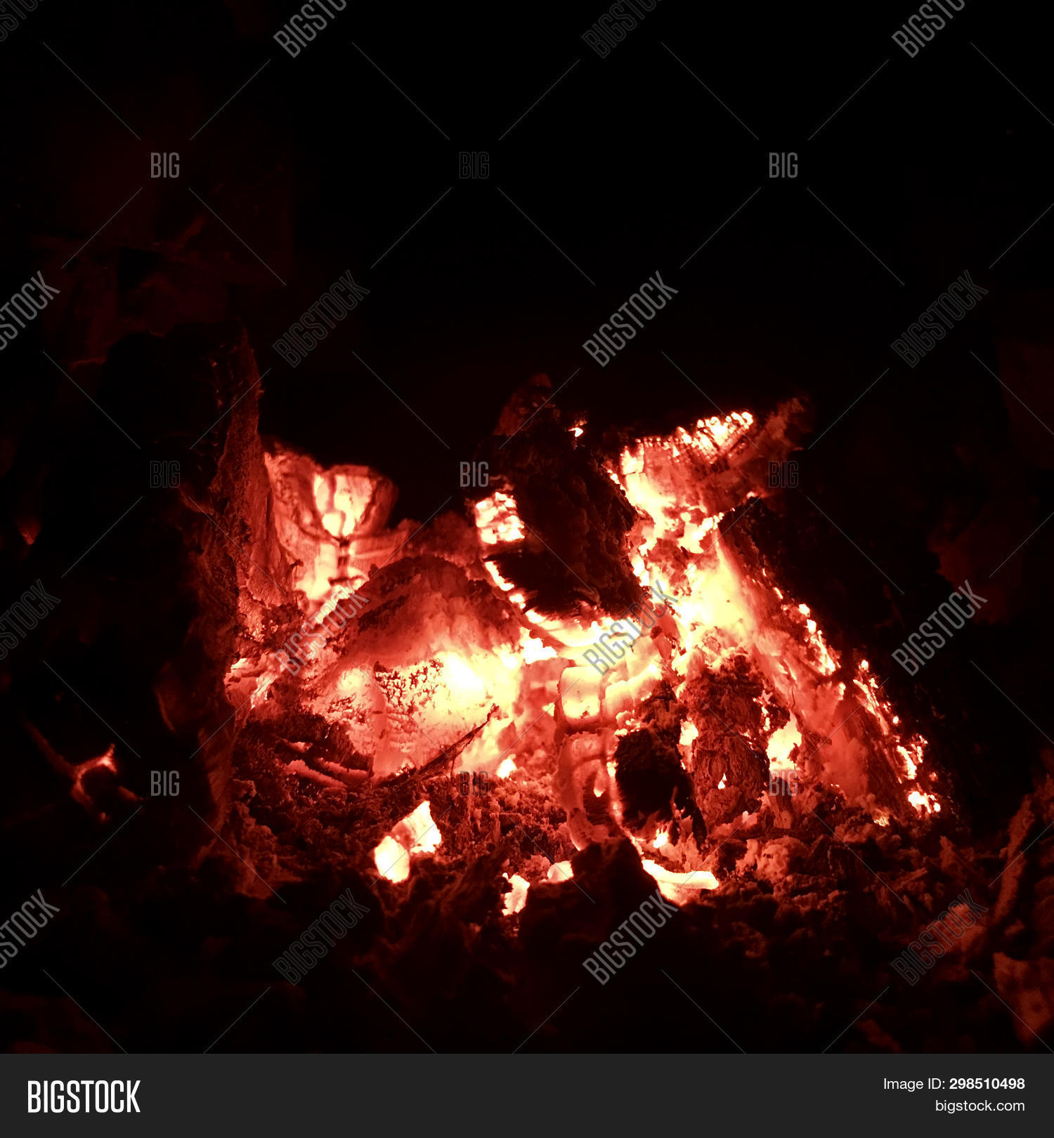 Beautiful Flame Brown Image & Photo (Free Trial) | Bigstock