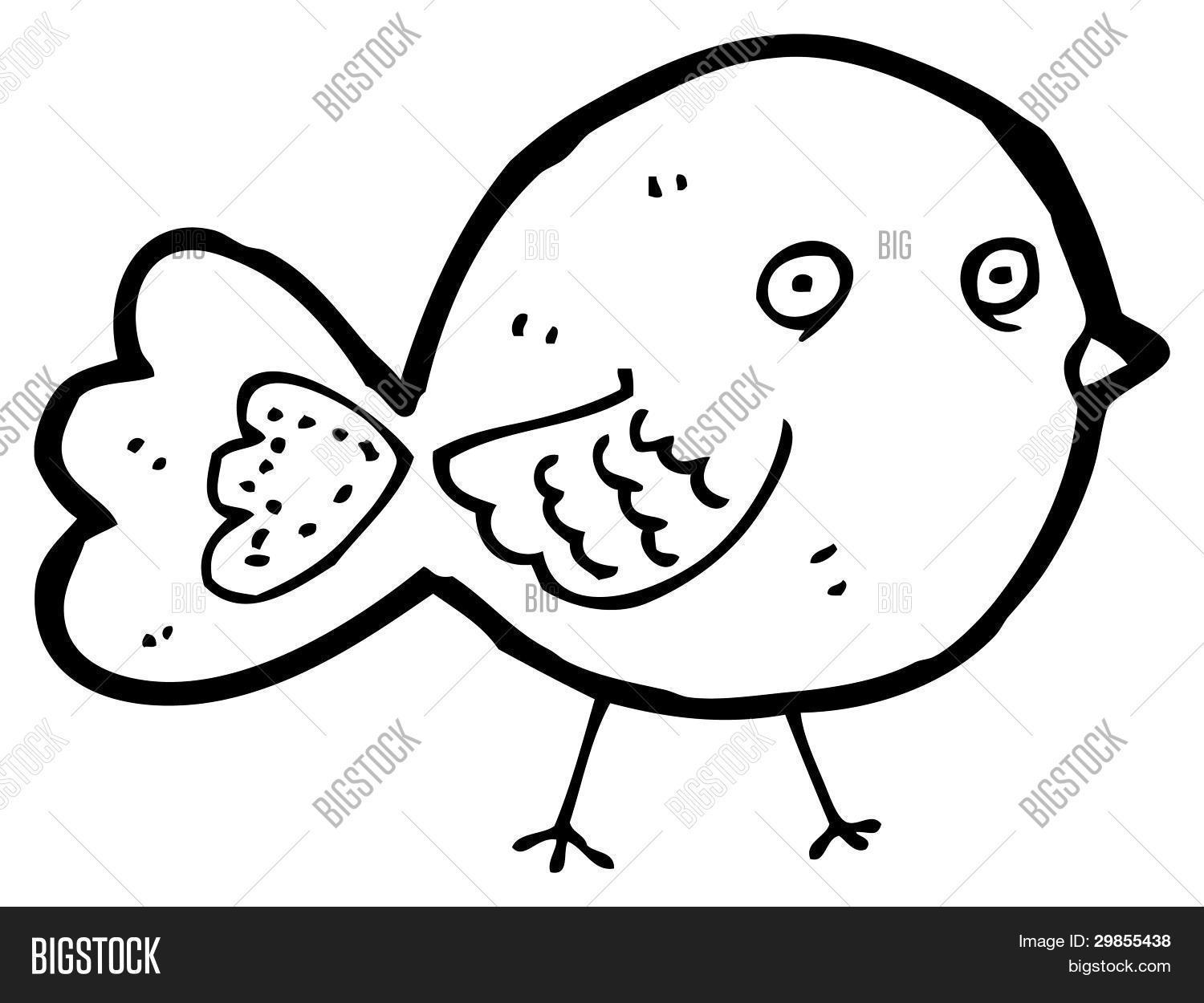 Funny Round Bird Image & Photo (Free Trial) | Bigstock