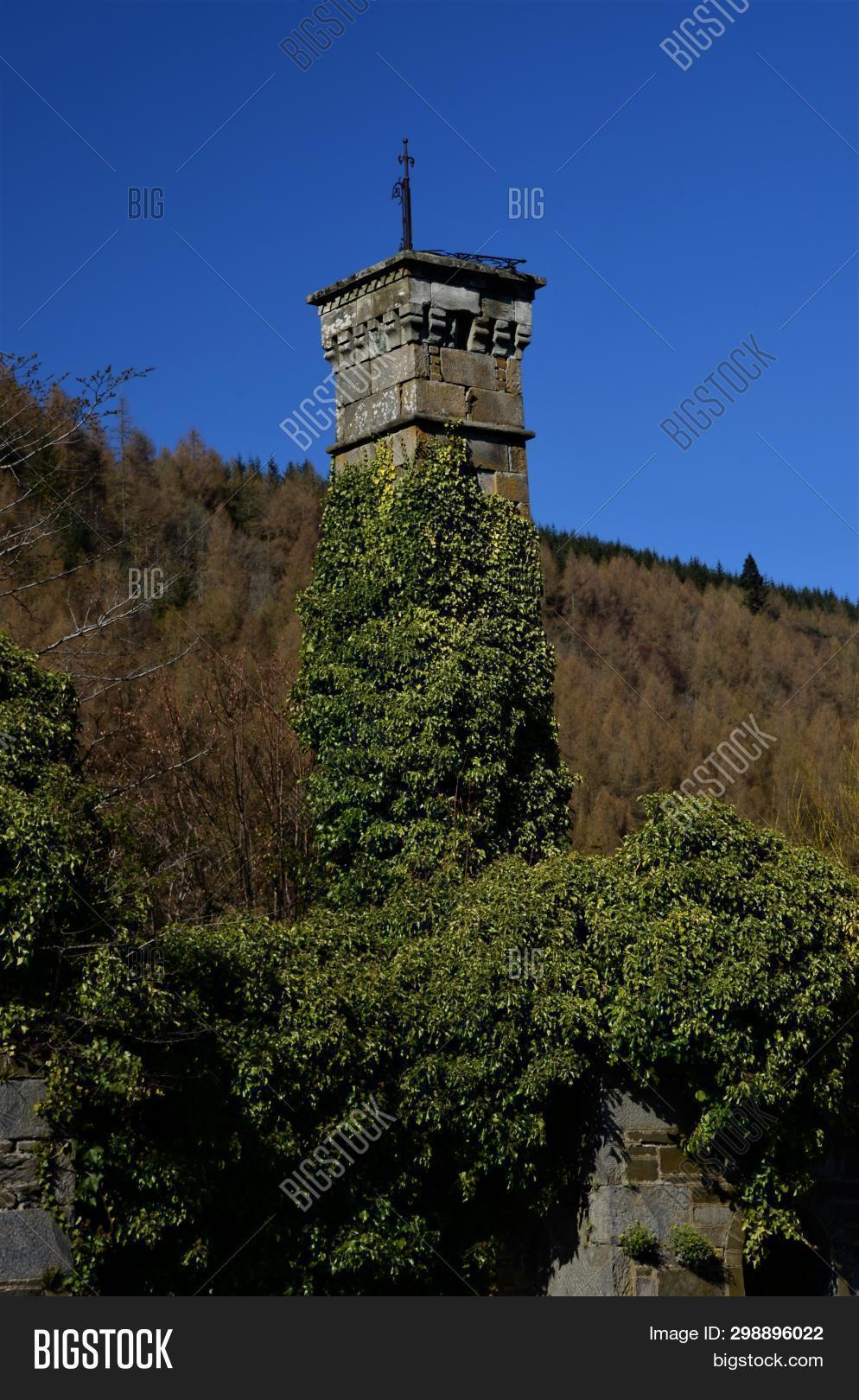 View Overgrown Old Image & Photo (Free Trial) | Bigstock