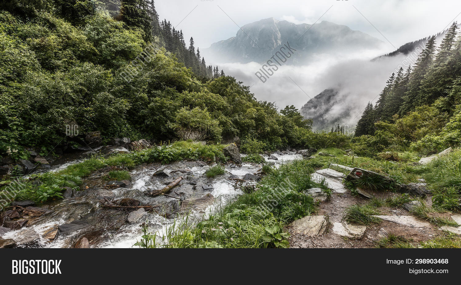 Impressive Foggy Image & Photo (Free Trial) | Bigstock