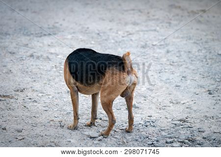 Headless Images, Illustrations & Vectors (Free) - Bigstock