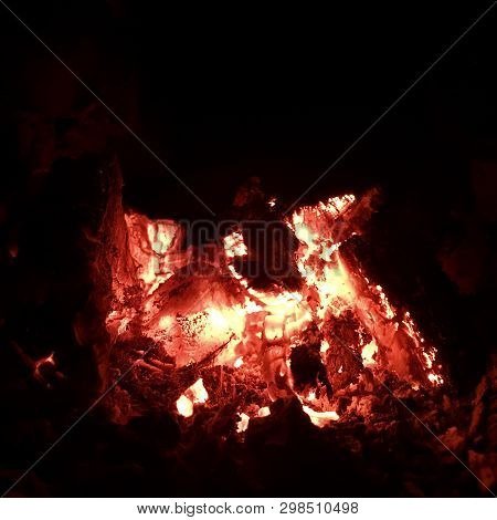 Beautiful Flame Brown Image & Photo (Free Trial) | Bigstock