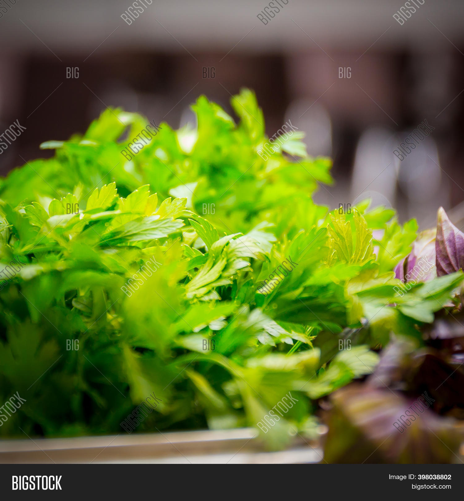 Served Tasty Green Image & Photo (Free Trial) | Bigstock