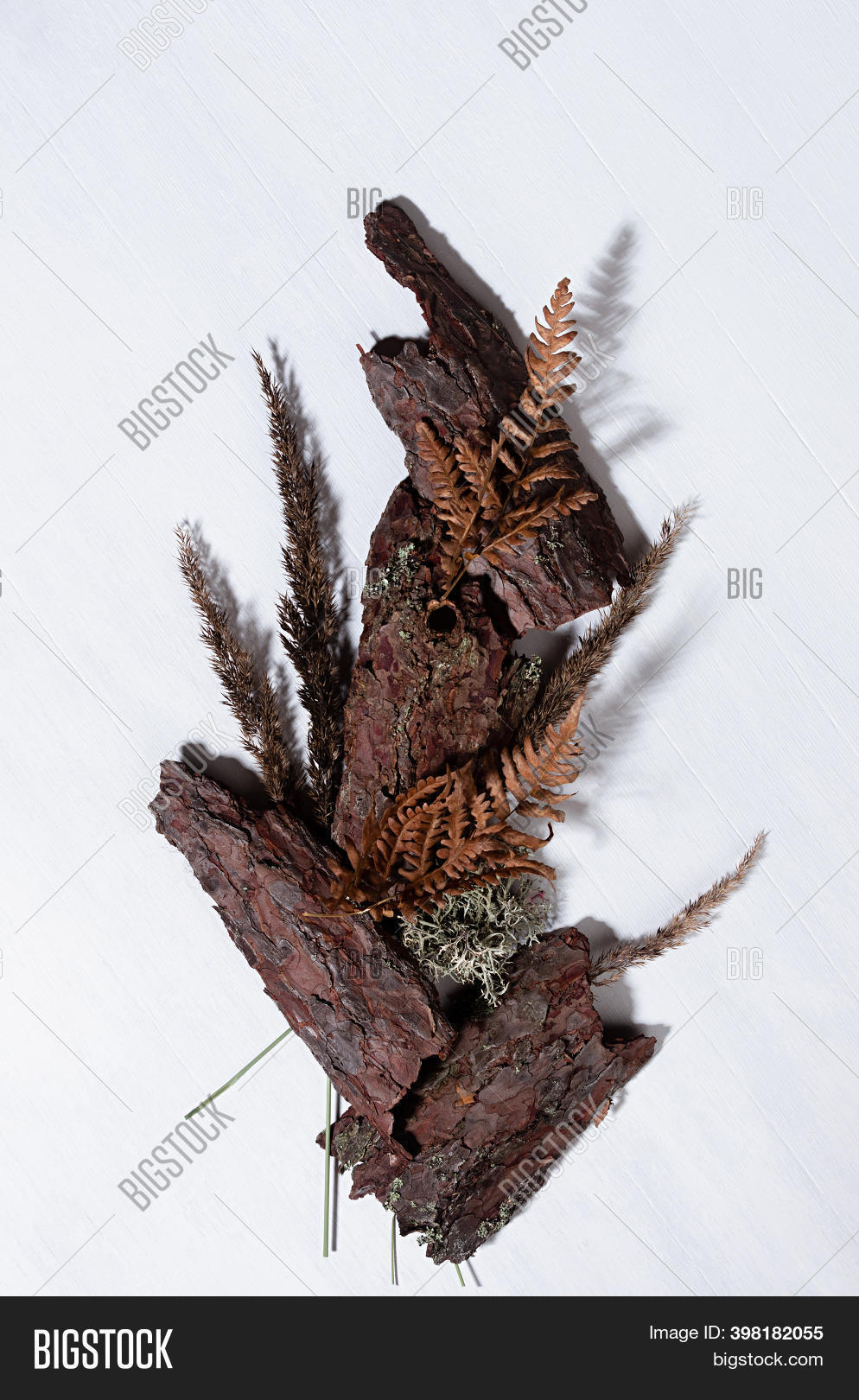 Dry Forest Materials Image & Photo (Free Trial) | Bigstock