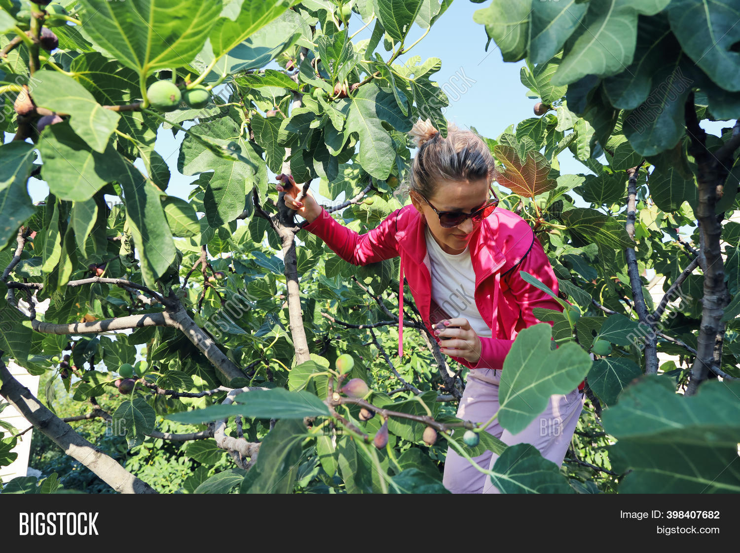 Young Woman On Fig Image & Photo (Free Trial) | Bigstock