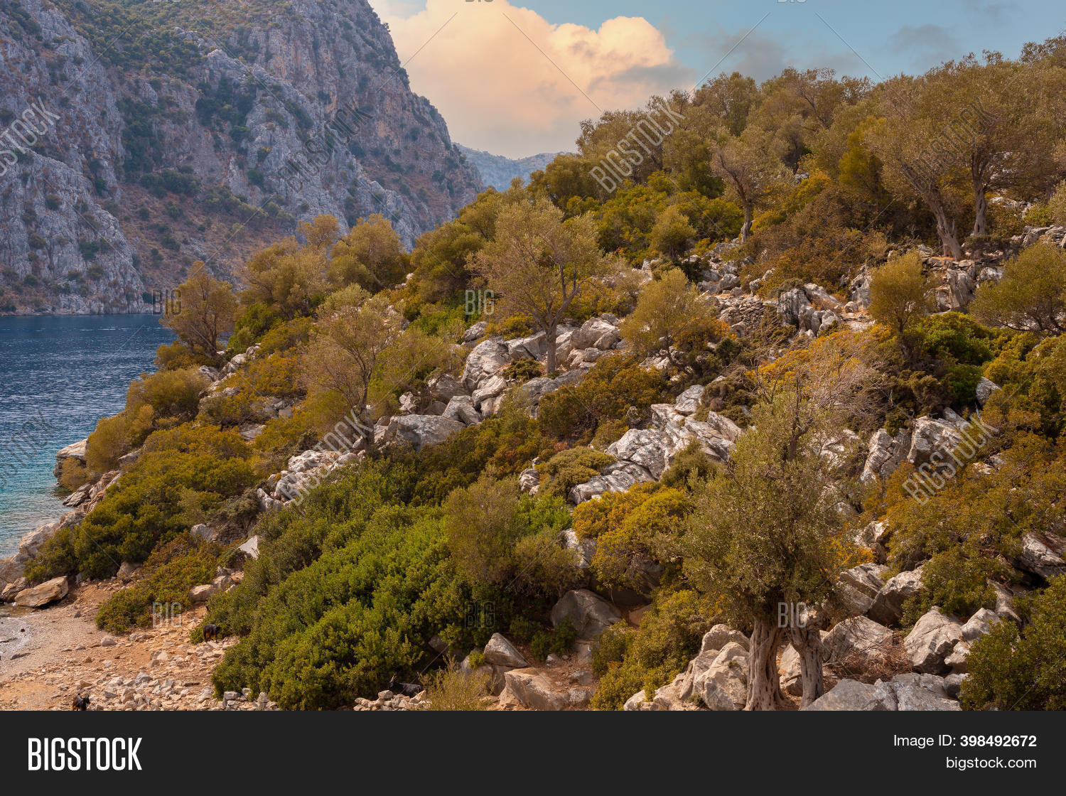 Beautiful Idyllic Image & Photo (Free Trial) | Bigstock