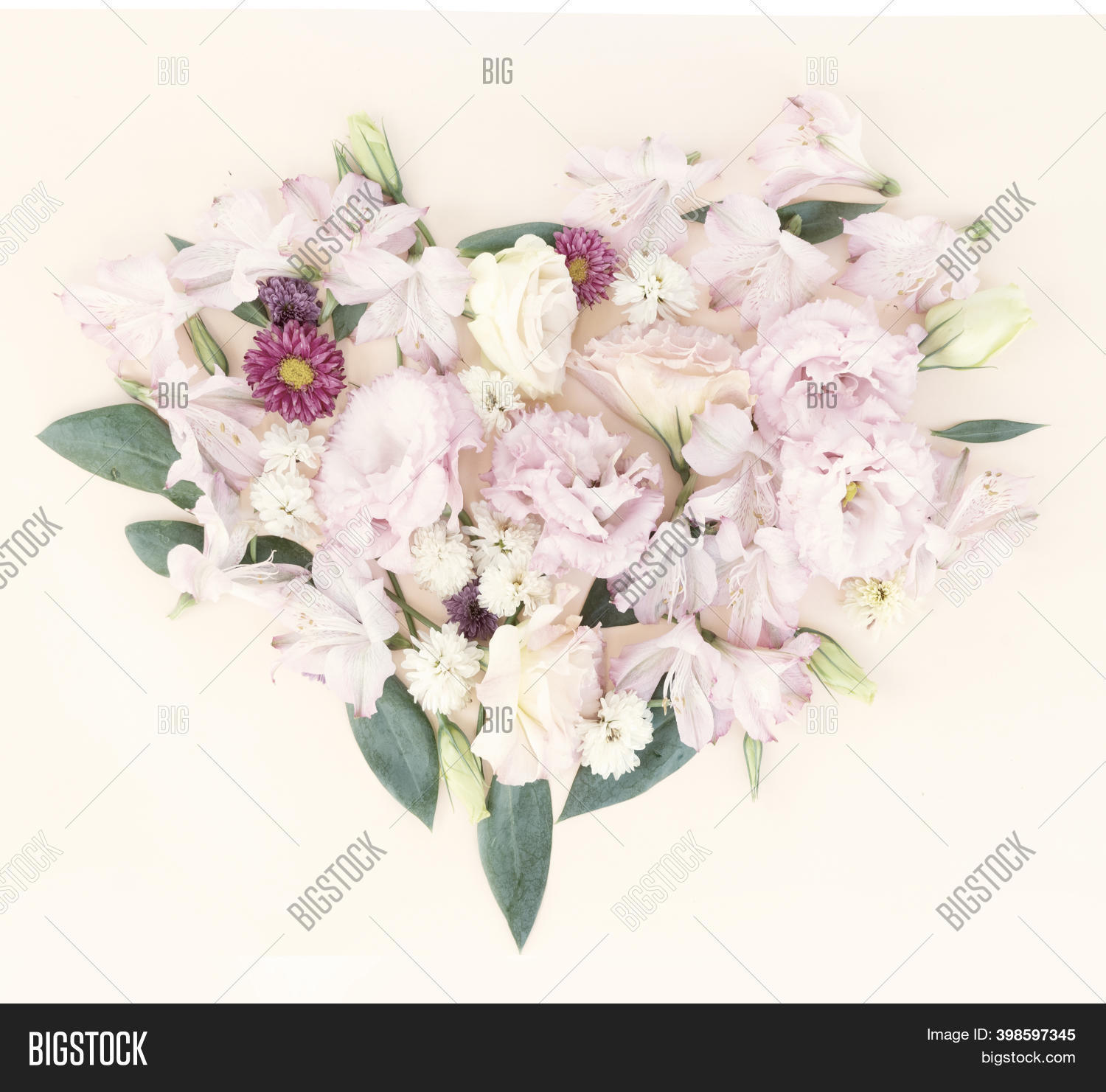 Flowers Composition Image & Photo (Free Trial) | Bigstock