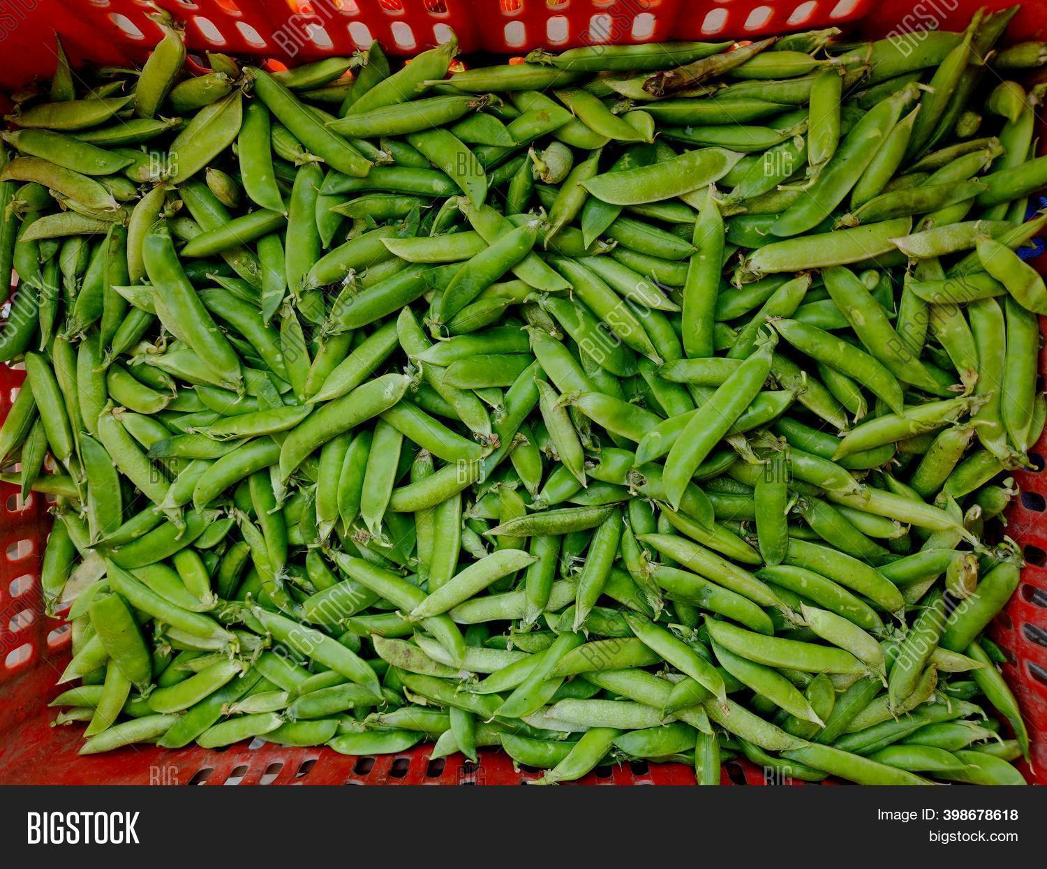 Pea Most Commonly Image & Photo (Free Trial) | Bigstock