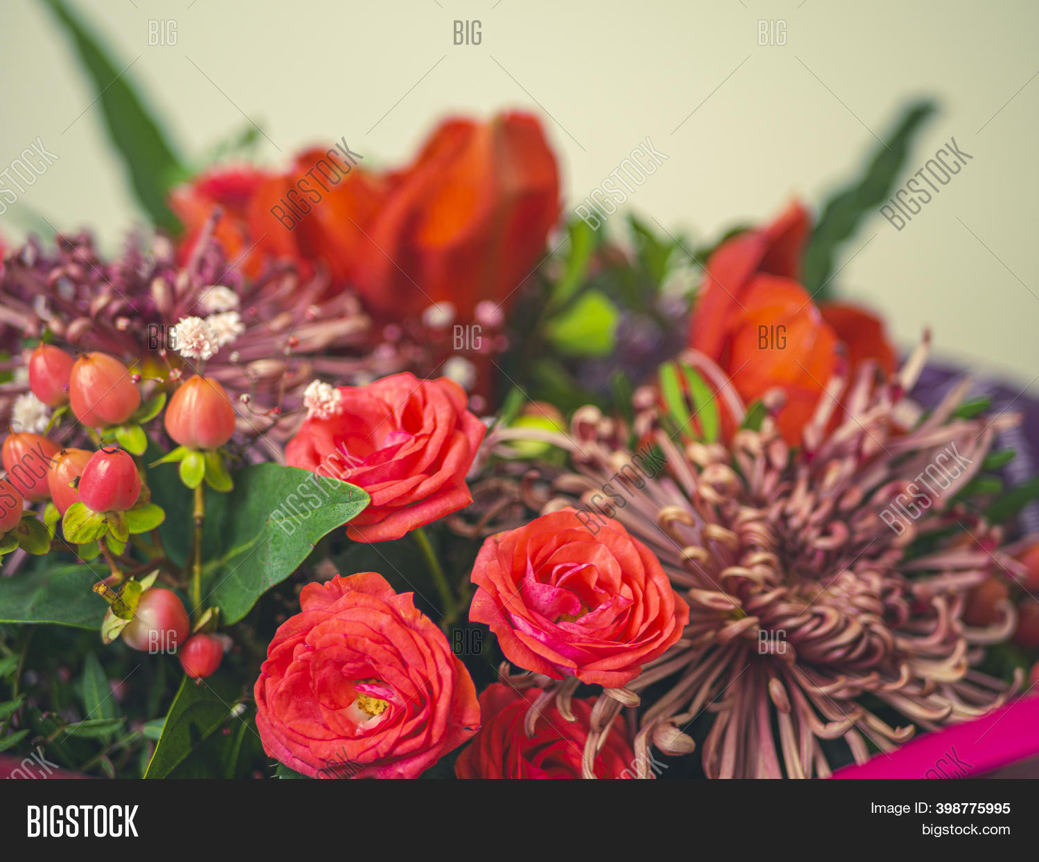 Fresh Colorful Variety Image & Photo (Free Trial) | Bigstock