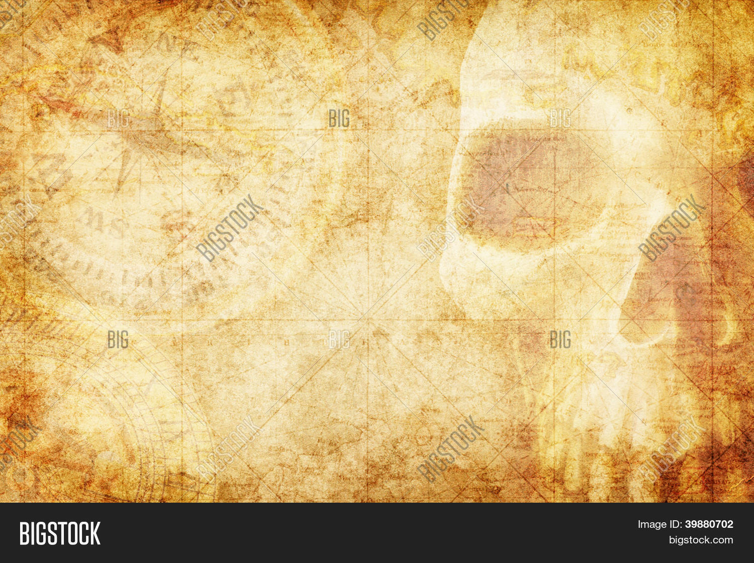 Pirate Nautical Theme Image & Photo (Free Trial) | Bigstock