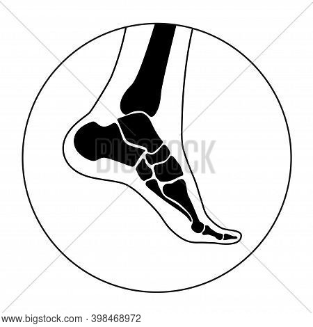 Human Ankle Icon Vector & Photo (Free Trial) | Bigstock