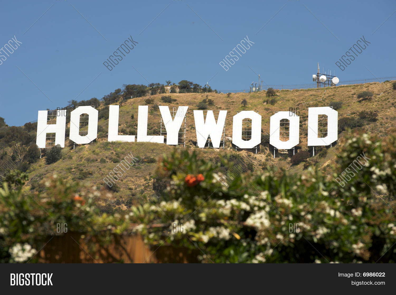 HOLLYWOOD Image & Photo (Free Trial) | Bigstock