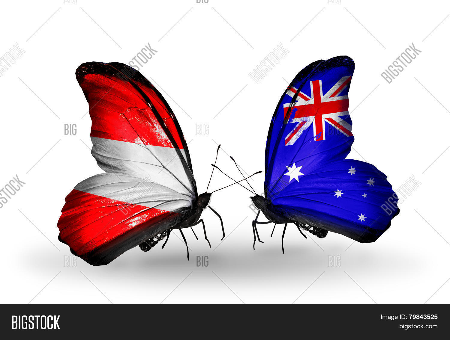 Two Butterflies Flags Image & Photo (Free Trial) | Bigstock