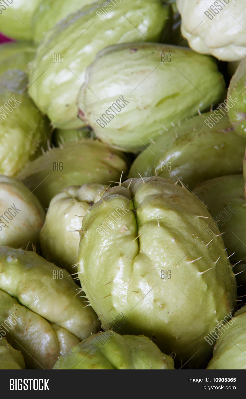Chayote Squash Image & Photo (Free Trial) | Bigstock