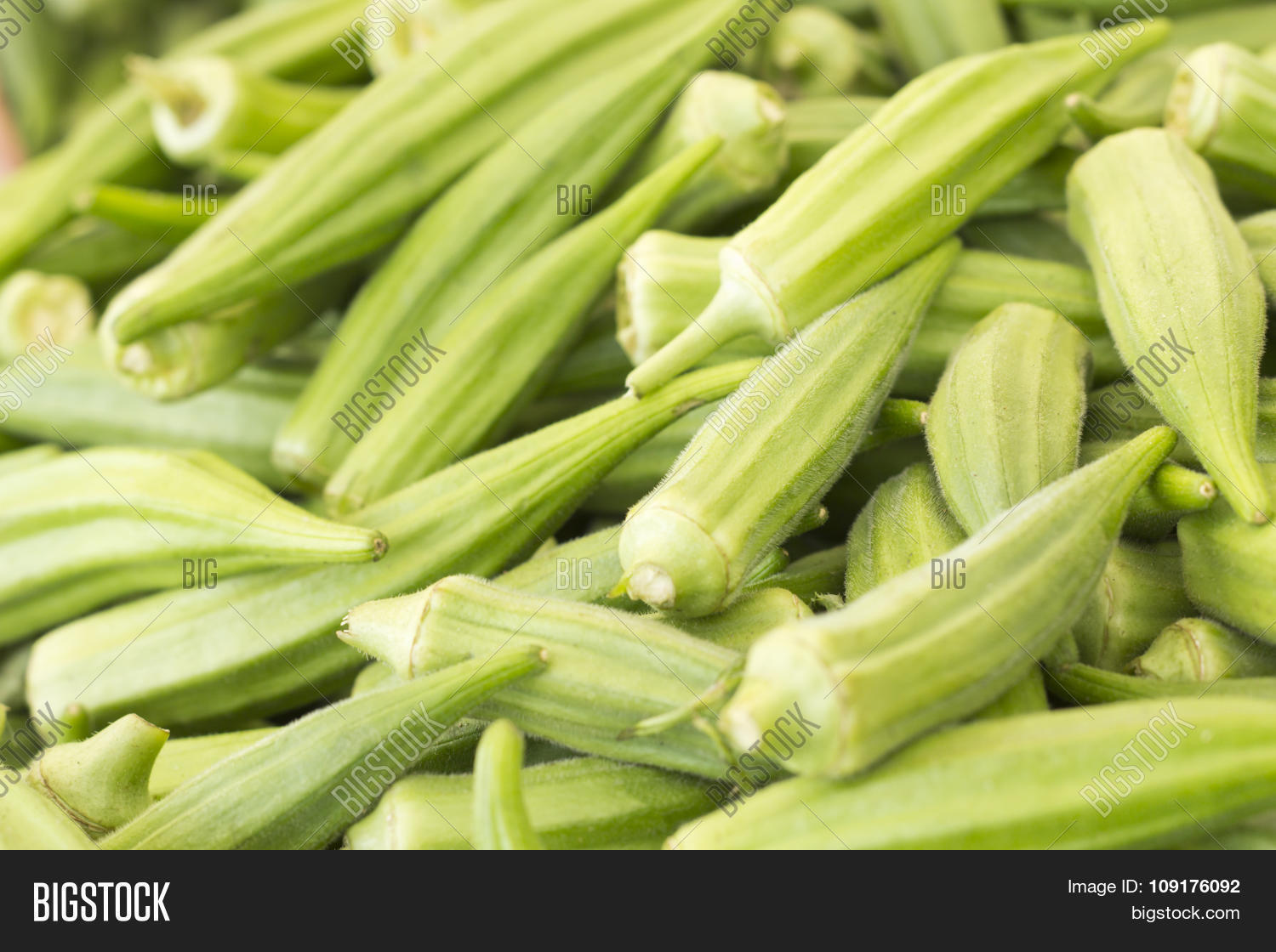 Pile Ripe Okra Sale Image & Photo (Free Trial) | Bigstock