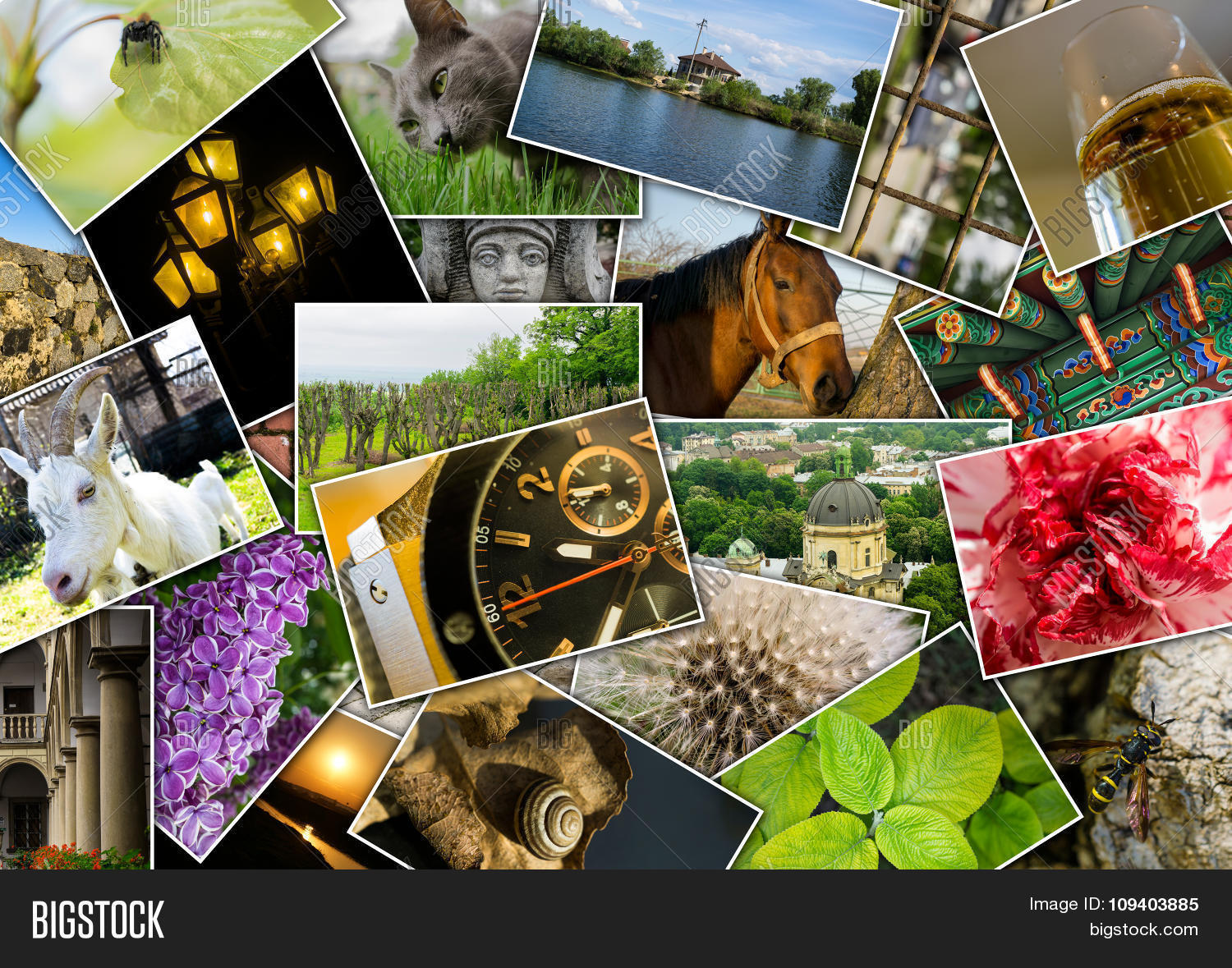 Mosaic Collage Image & Photo (Free Trial) | Bigstock