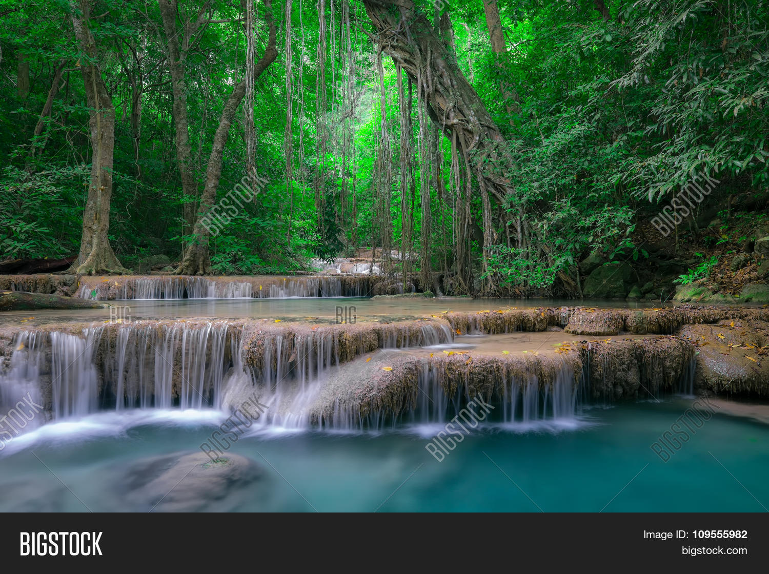 Jangle Landscape Image & Photo (Free Trial) | Bigstock