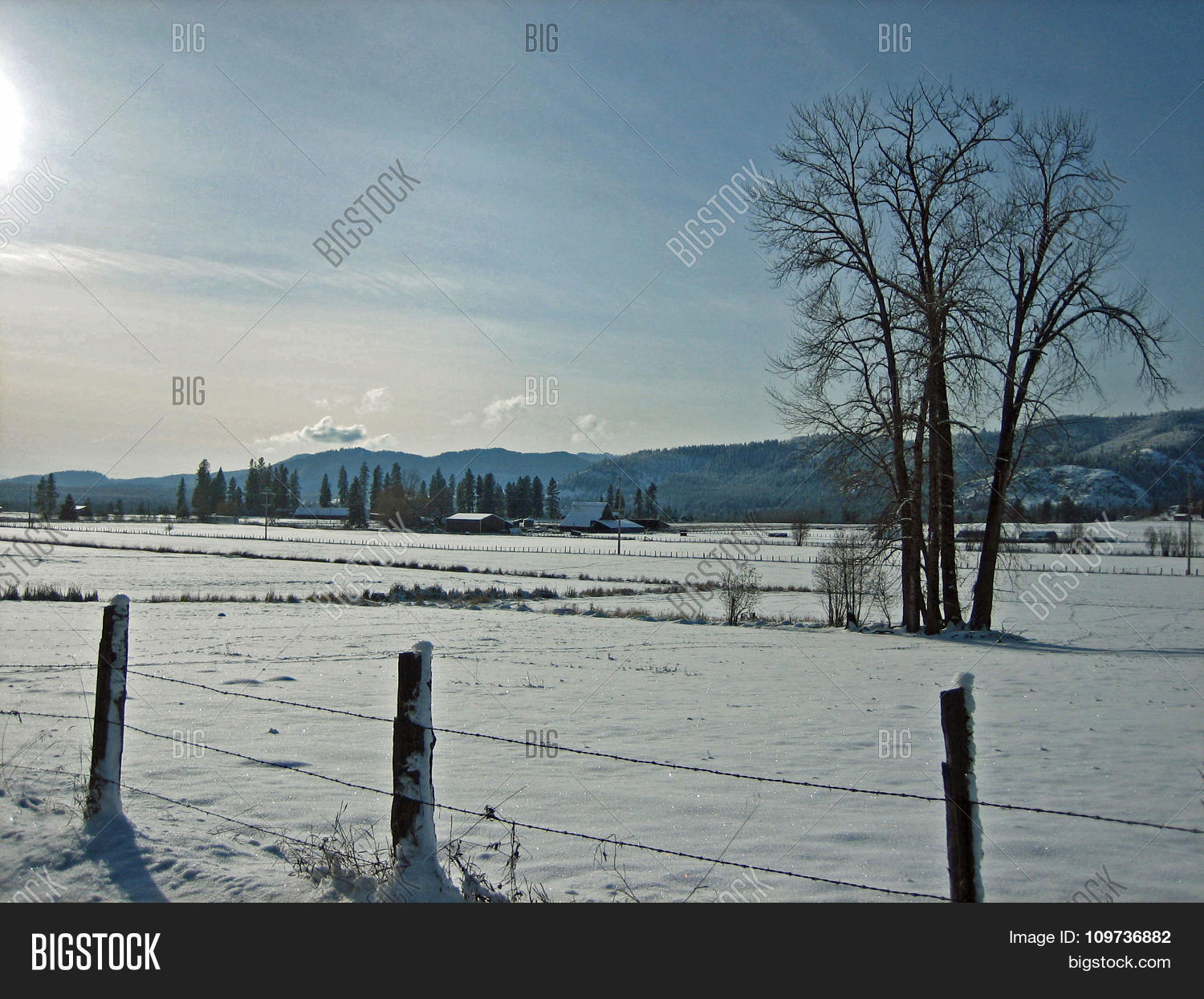 Sparkling Snow Scene Image & Photo (Free Trial) | Bigstock
