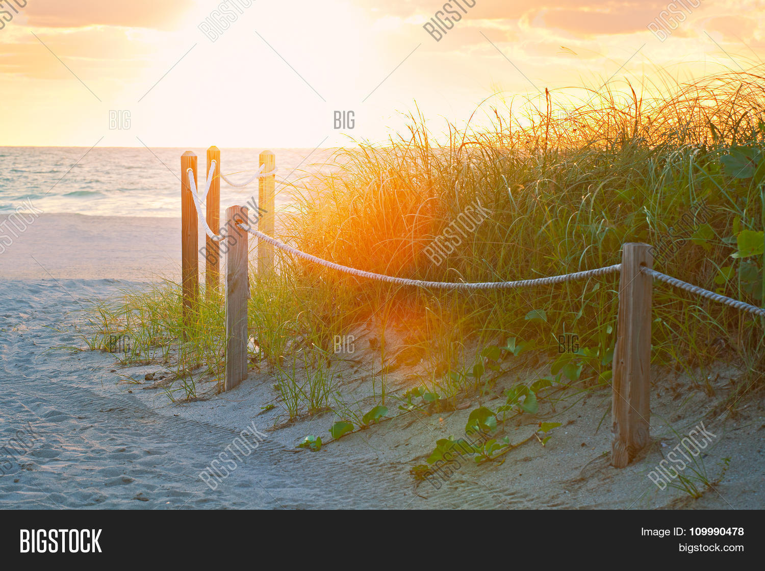 Beach Path Sunrise Image & Photo (Free Trial) | Bigstock