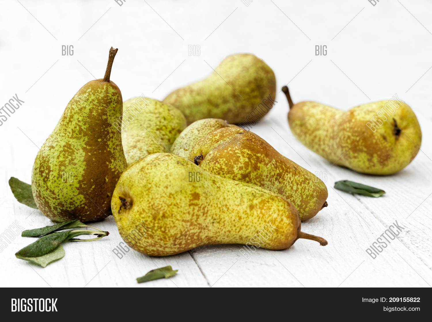 Abate Fetel Pears Image & Photo (Free Trial) | Bigstock