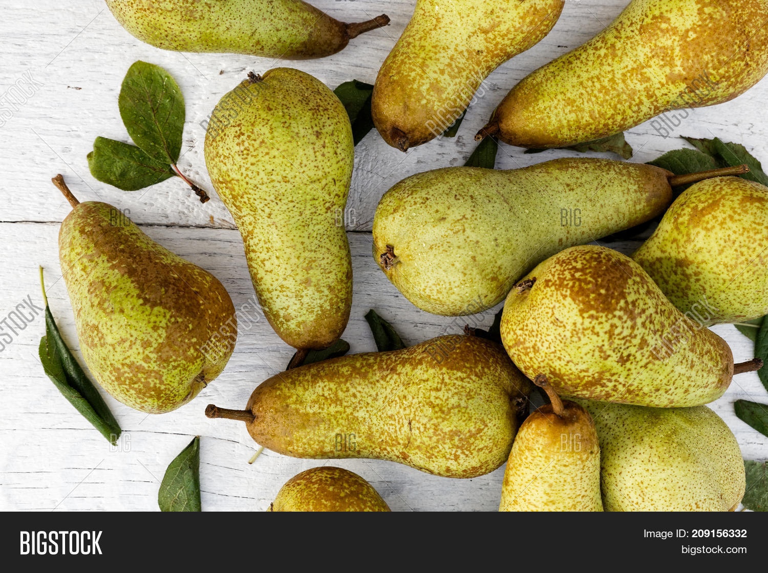 Abate Fetel Pears Image & Photo (Free Trial) | Bigstock