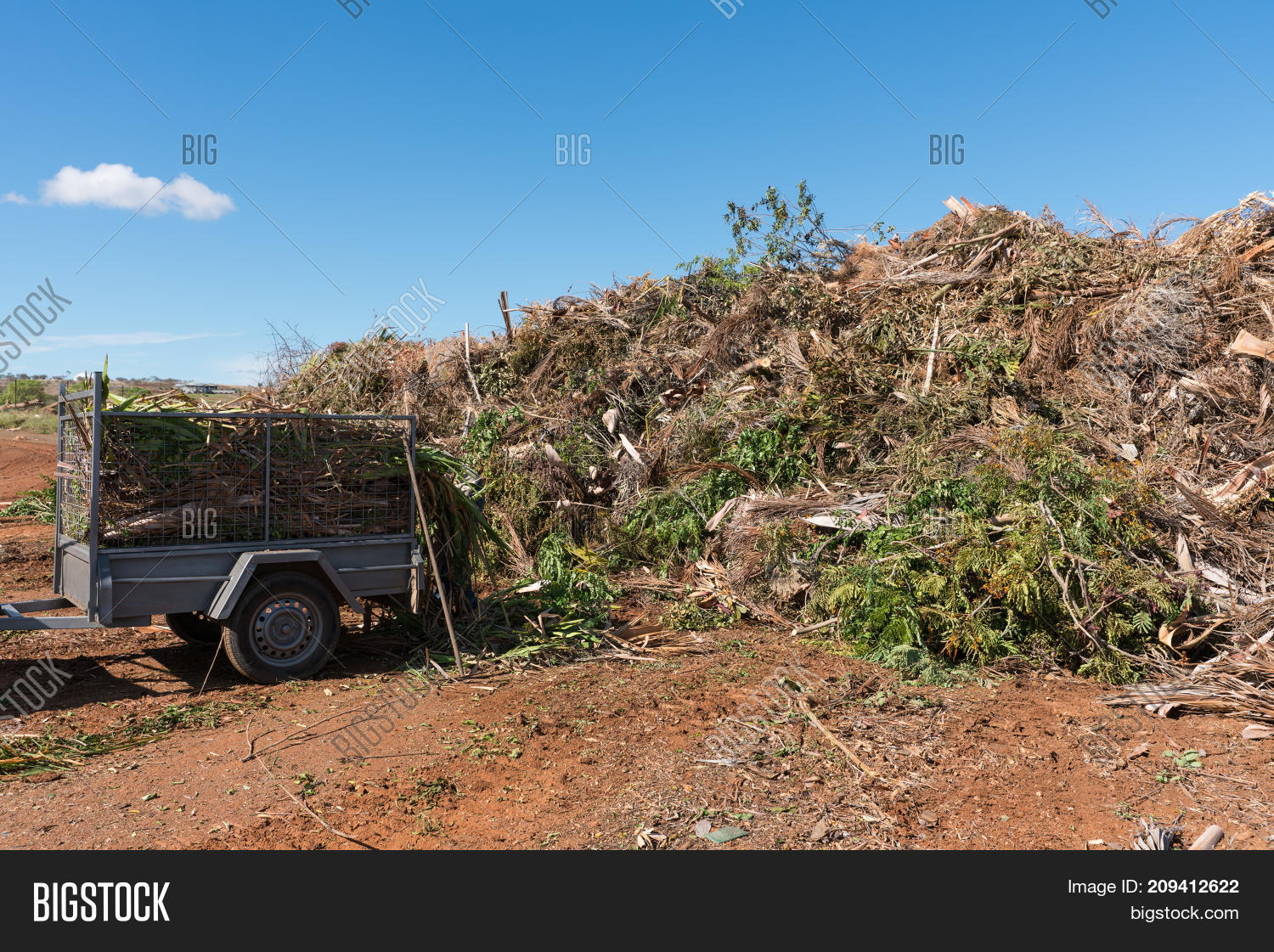 Green Waste Collection Image & Photo (Free Trial) | Bigstock