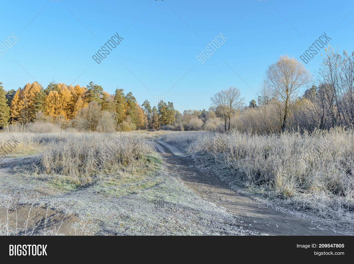 Autumn Autumn Frost Image & Photo (Free Trial) | Bigstock
