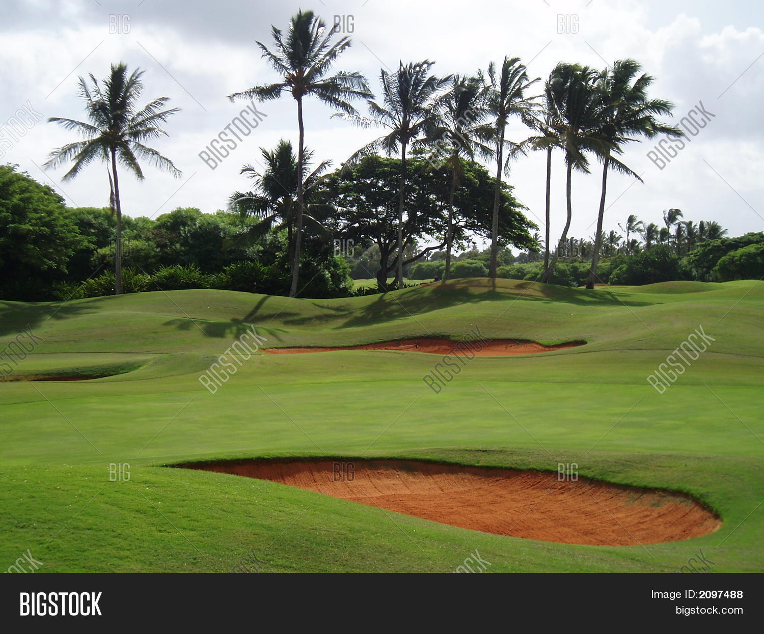 Tropical Hawaiian Golf Image & Photo (Free Trial) | Bigstock