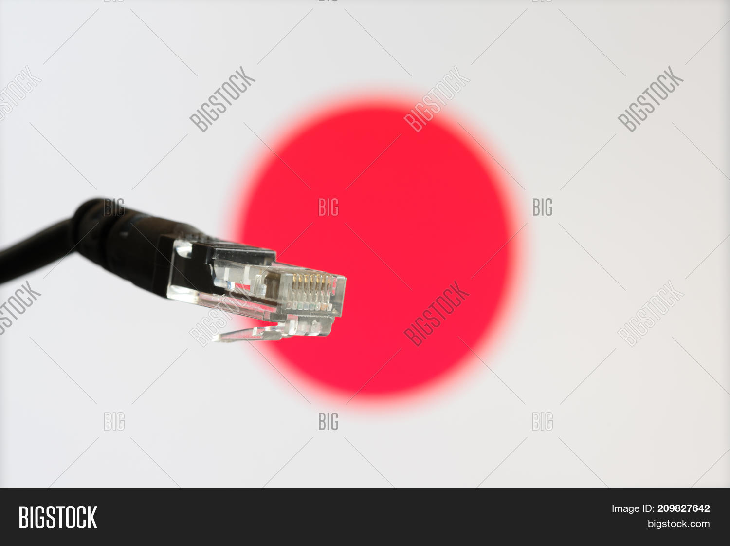 Ethernet Cable Image & Photo (Free Trial) | Bigstock