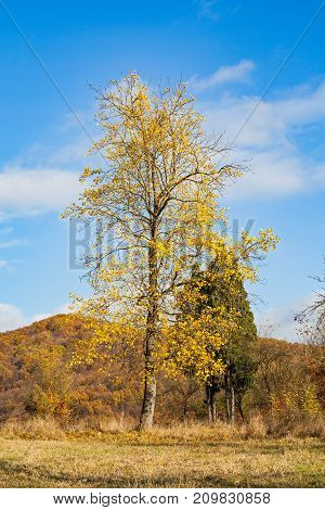 Scenic Picture Dry Image & Photo (Free Trial) | Bigstock