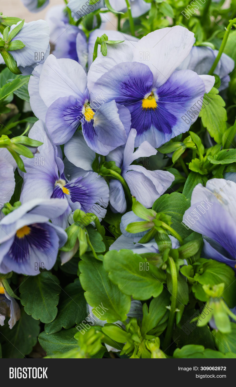 Background Blue Image & Photo (Free Trial) | Bigstock