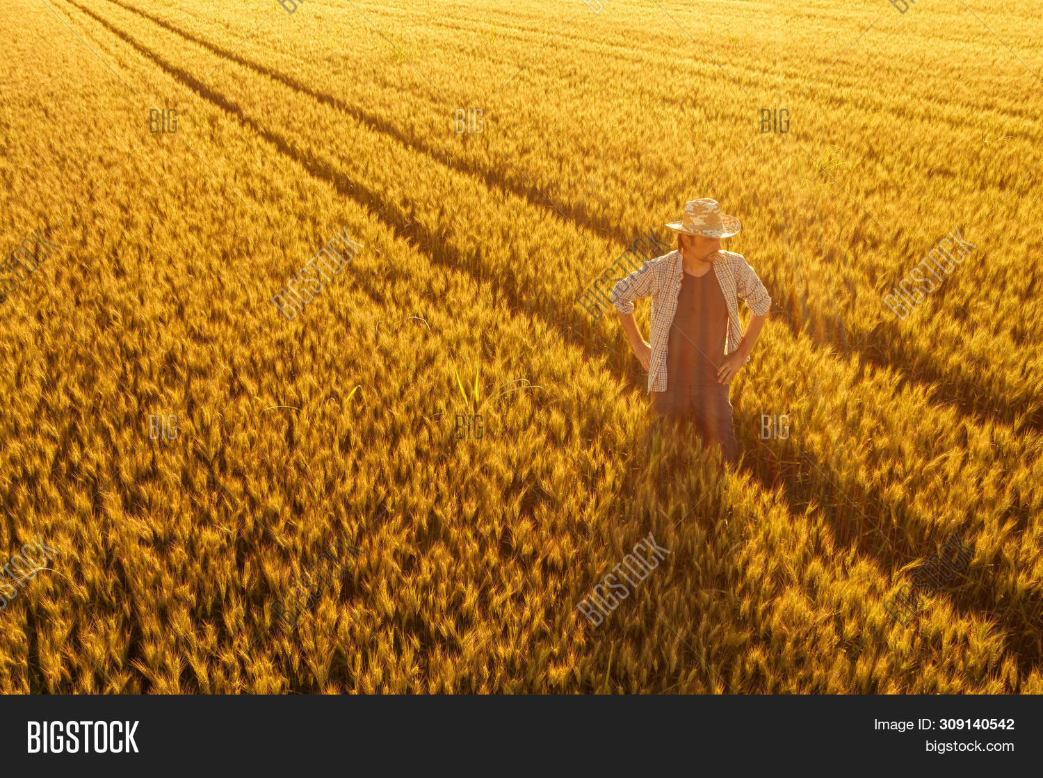Aerial View Farmer Image & Photo (Free Trial) | Bigstock