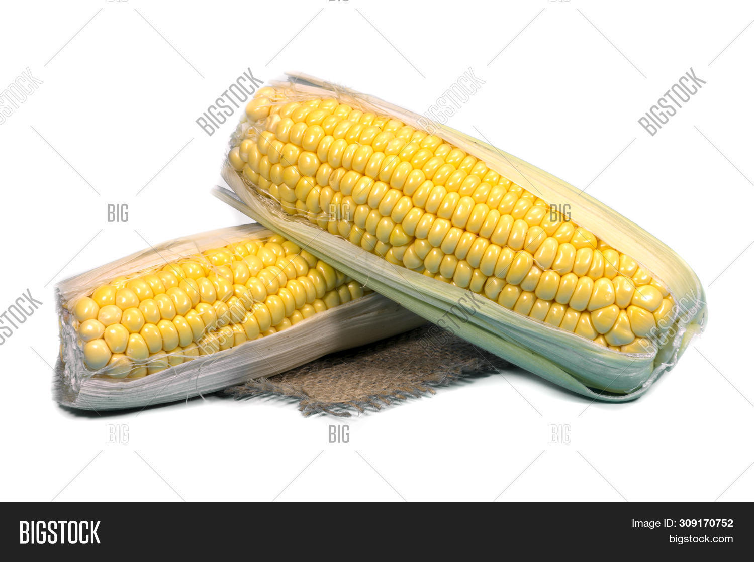 Fresh Sweetcorn Cob On Image & Photo (Free Trial) | Bigstock