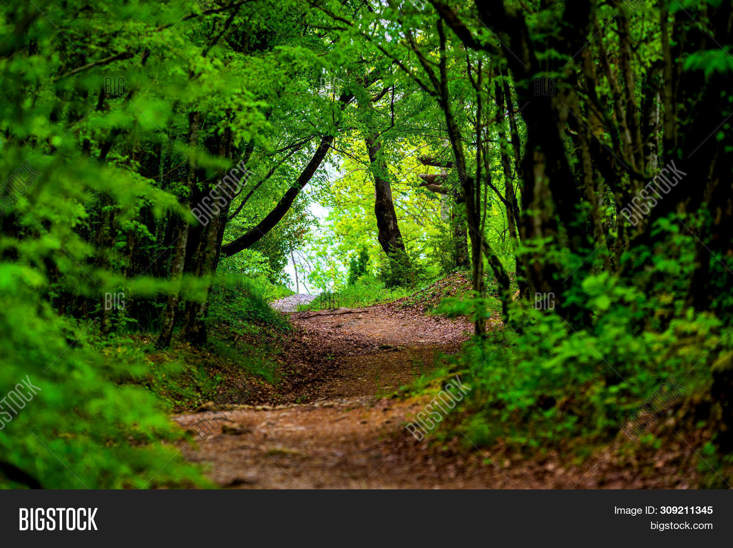 Walkway Lane Path Image & Photo (Free Trial) | Bigstock