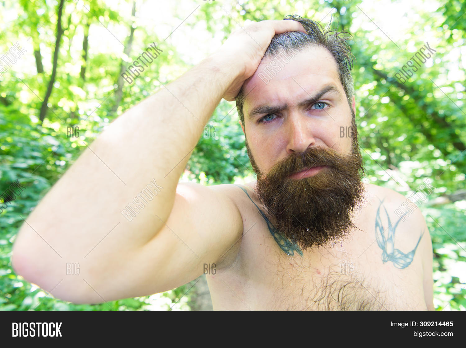 Sweating Body Odor Image & Photo (Free Trial) | Bigstock