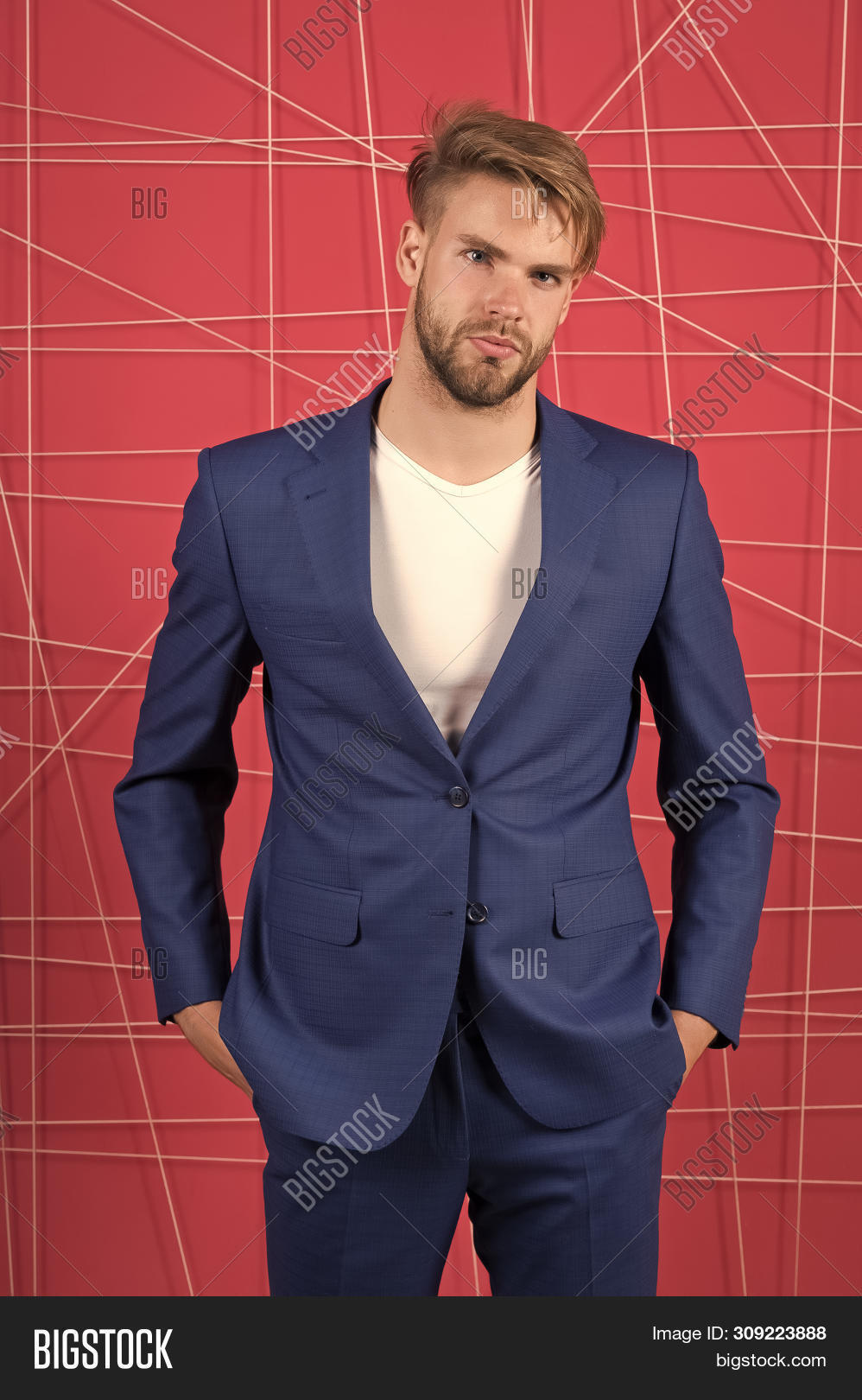 Man Well Groomed Image & Photo (Free Trial) | Bigstock