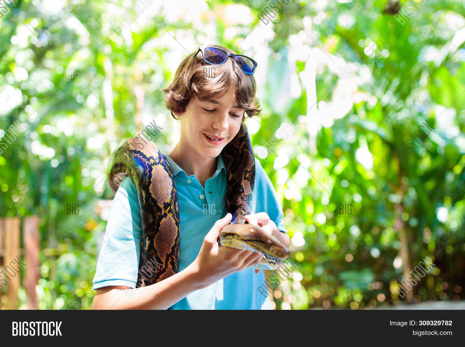 Kids Hold Python Snake Image & Photo (Free Trial) | Bigstock