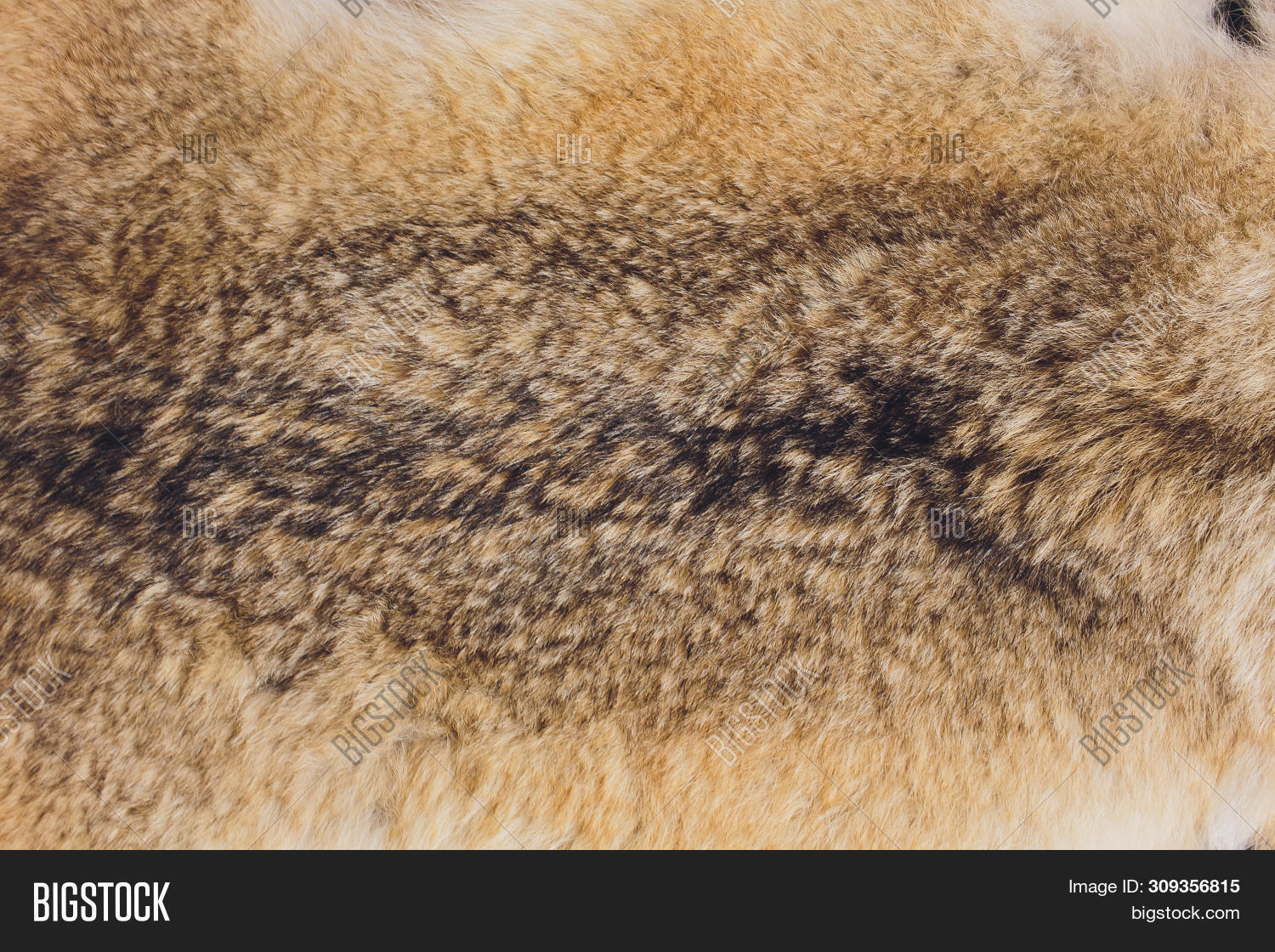 Texture Natural Rabbit Image & Photo (Free Trial) | Bigstock