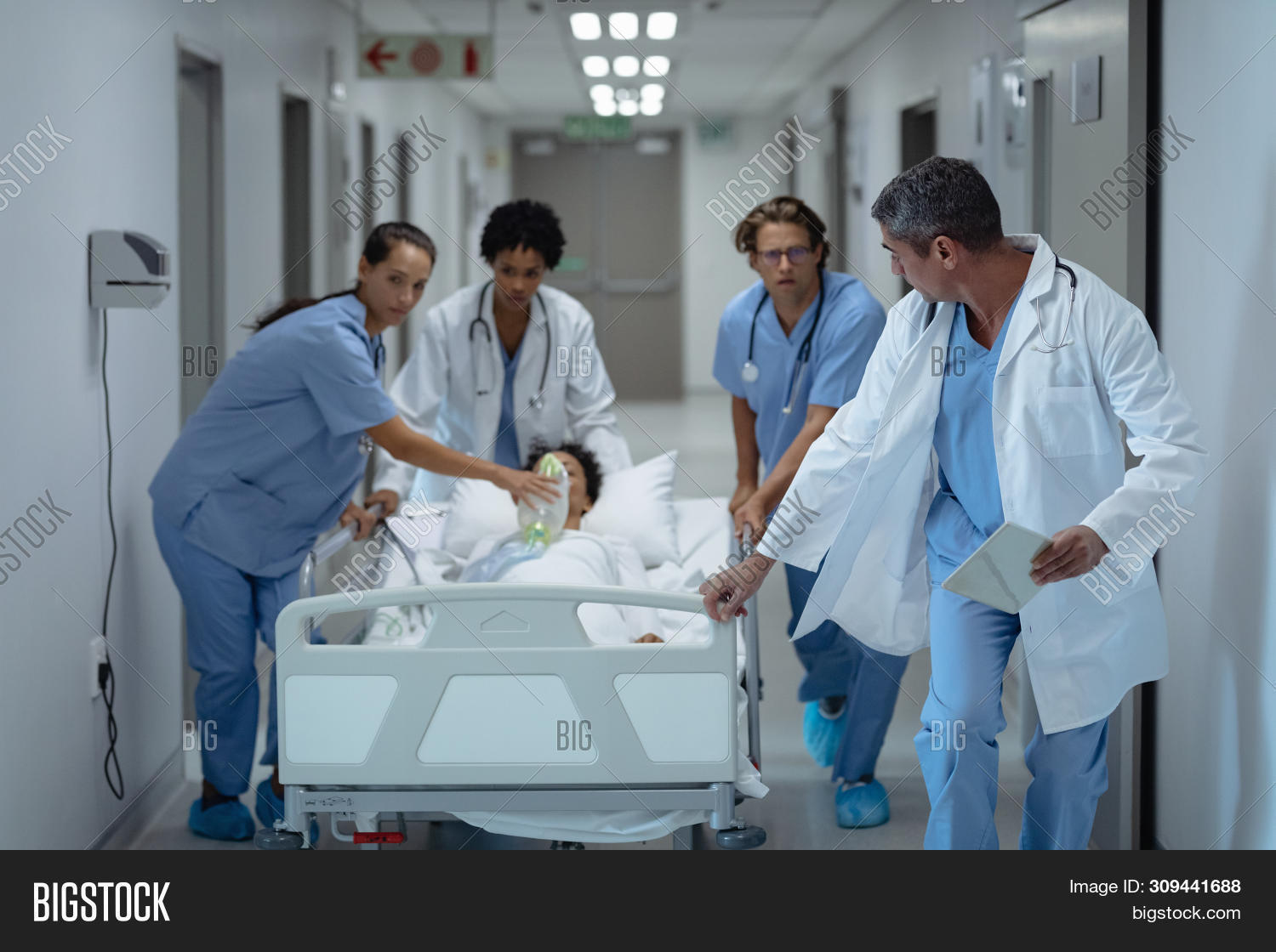 Front View Medical Image & Photo (Free Trial) | Bigstock