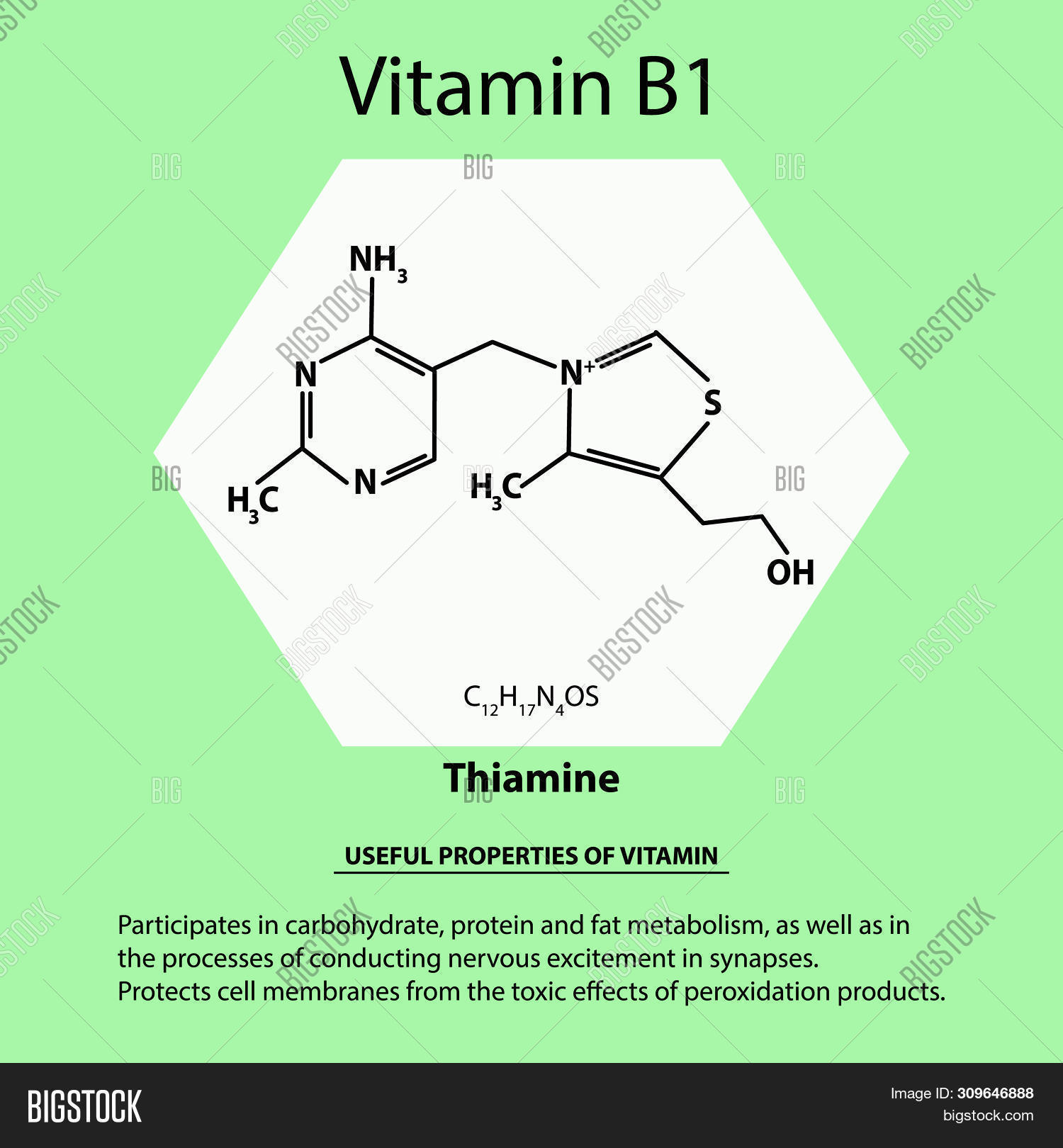 Vitamin B1. Thiamine Image & Photo (Free Trial) | Bigstock