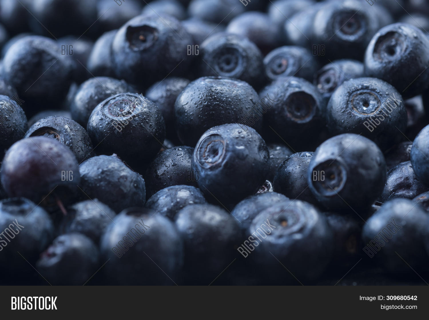 Fresh Ripe Blueberries Image & Photo (Free Trial) | Bigstock