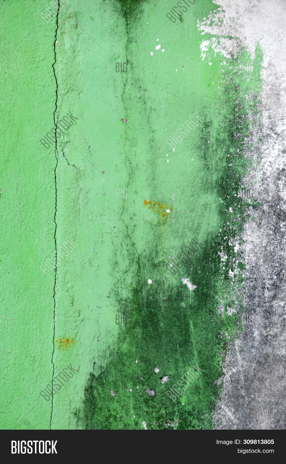 Detailed Texture Image & Photo (Free Trial) | Bigstock