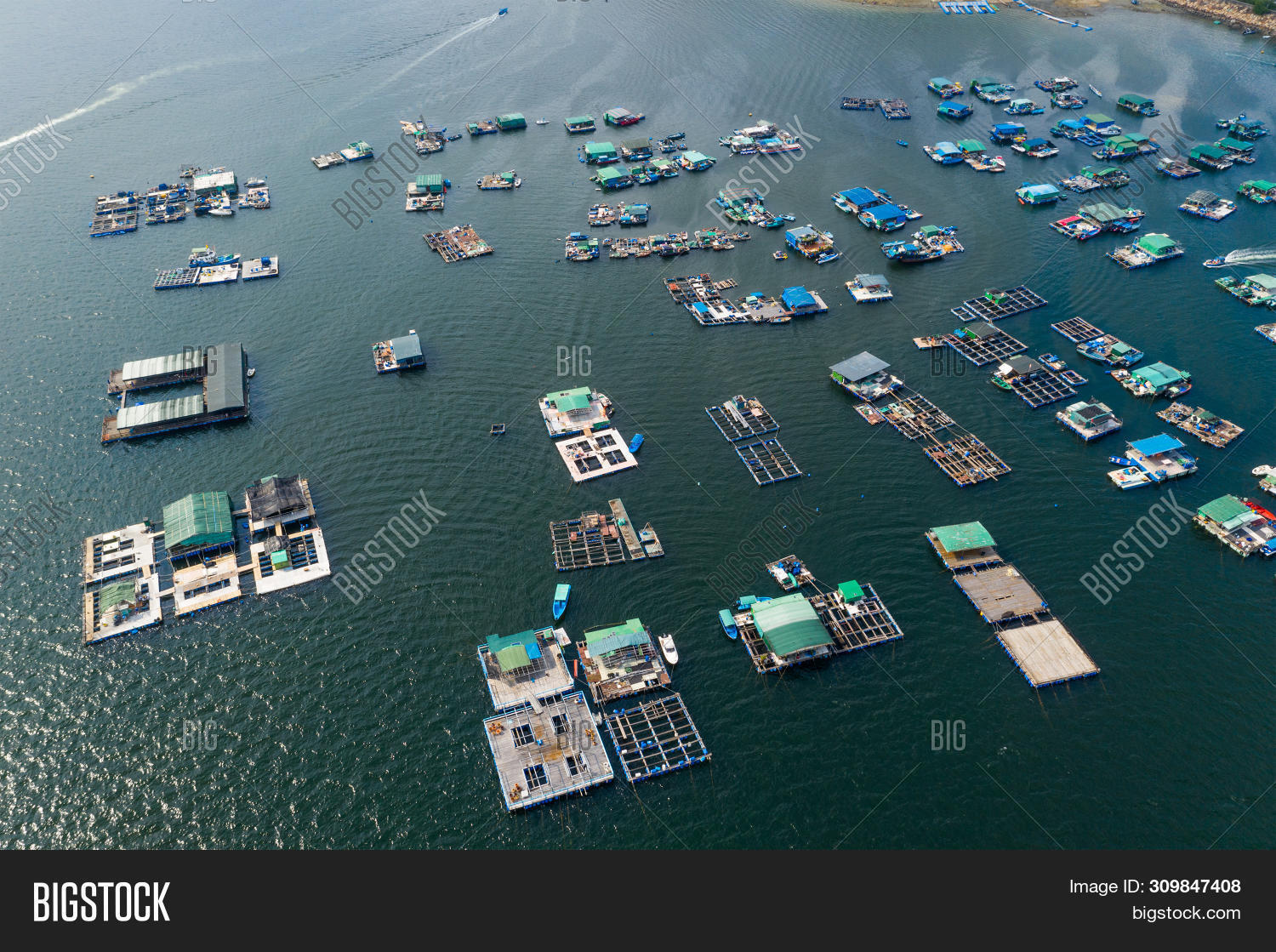 Tai Po, Hong Kong 19 Image & Photo (Free Trial) | Bigstock