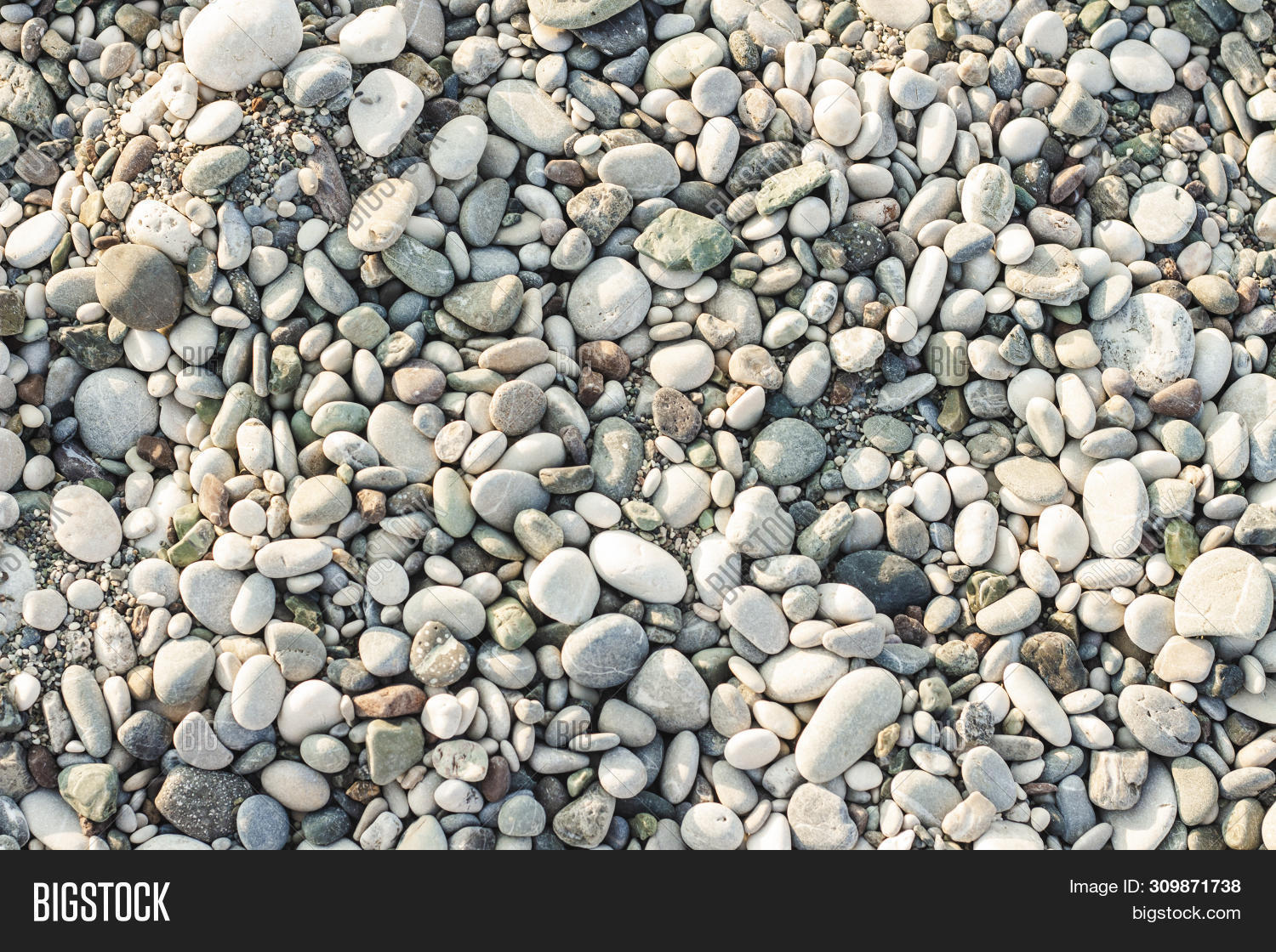 Beach Stone Pebbles. Image & Photo (Free Trial) | Bigstock
