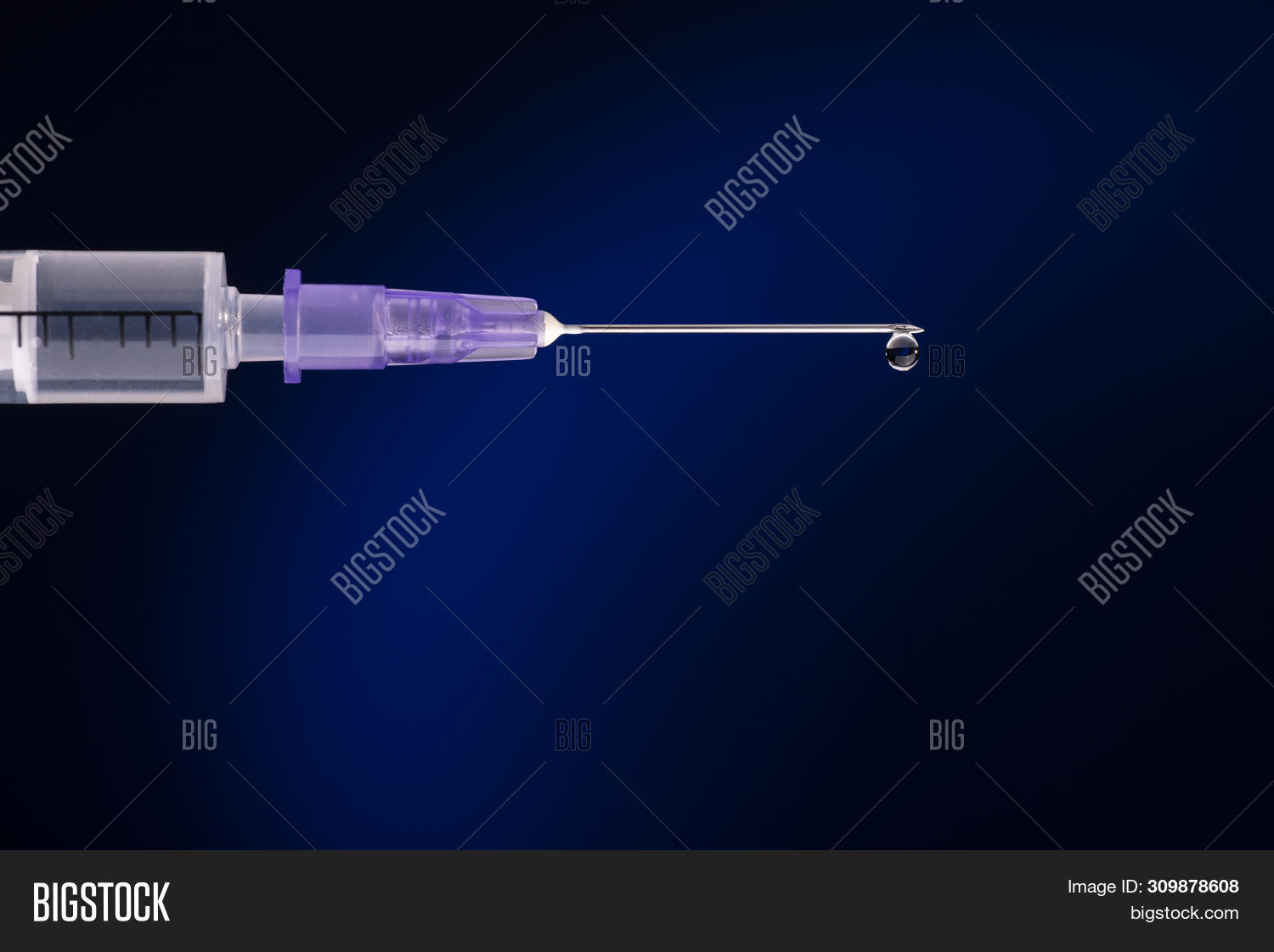 Close- Syringe Cannula Image & Photo (Free Trial) | Bigstock