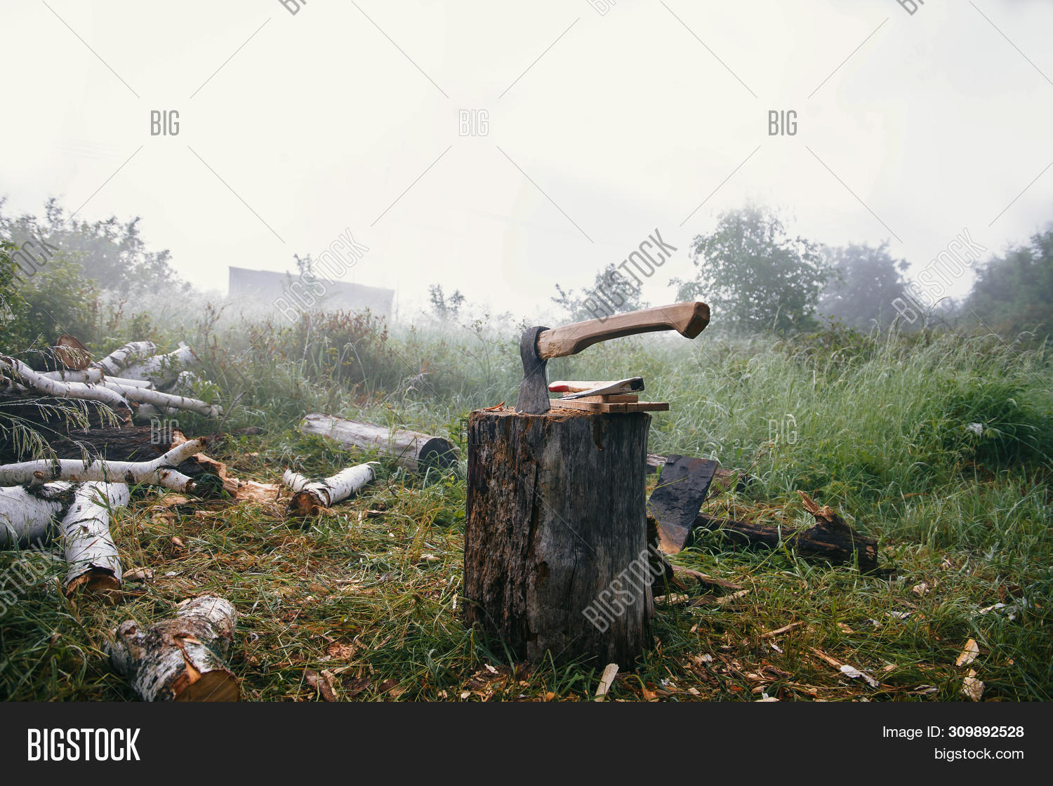 Ax Stabbed Blade Into Image & Photo (Free Trial) | Bigstock