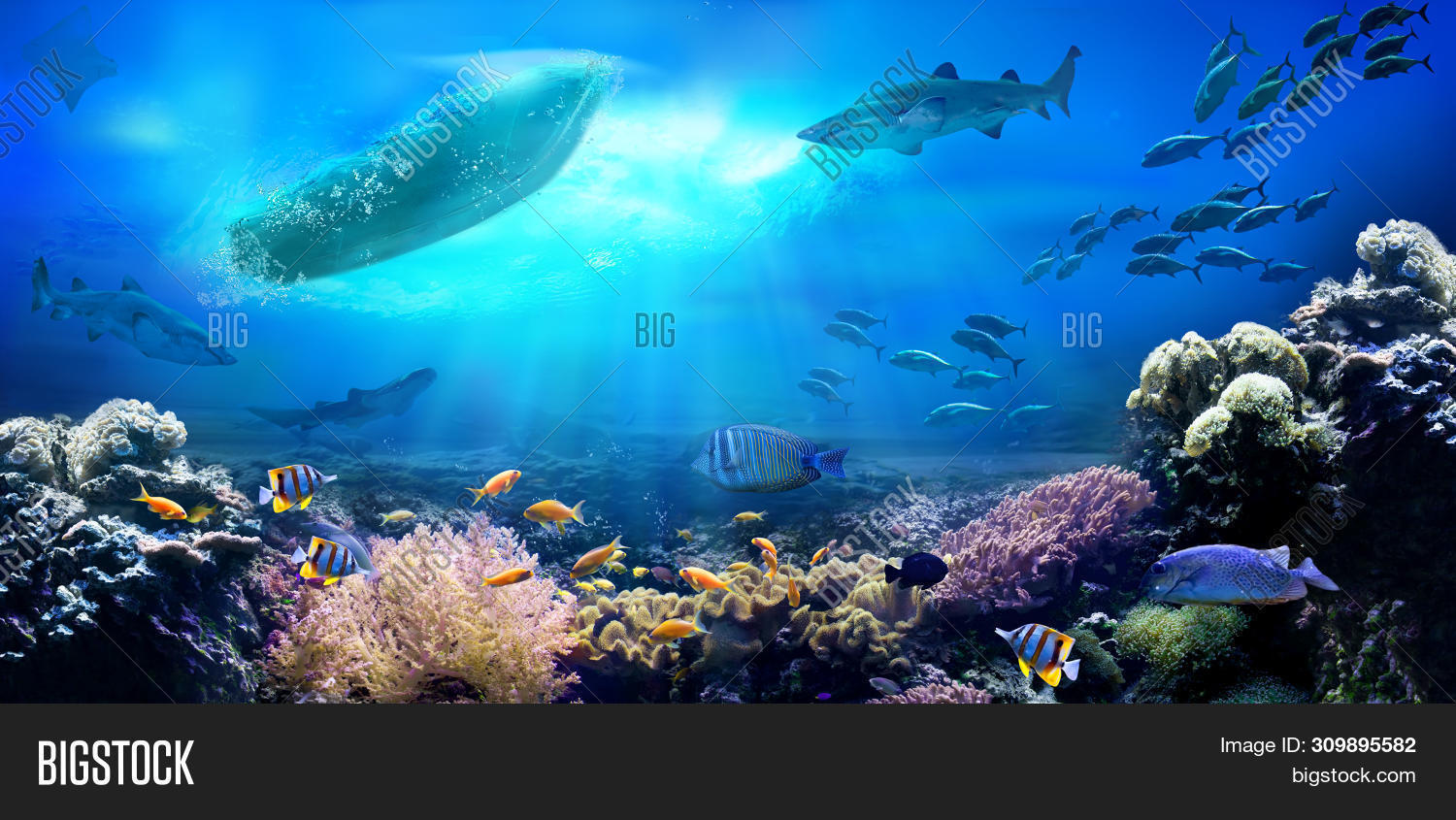 Small Boat Ocean. Image & Photo (Free Trial) | Bigstock