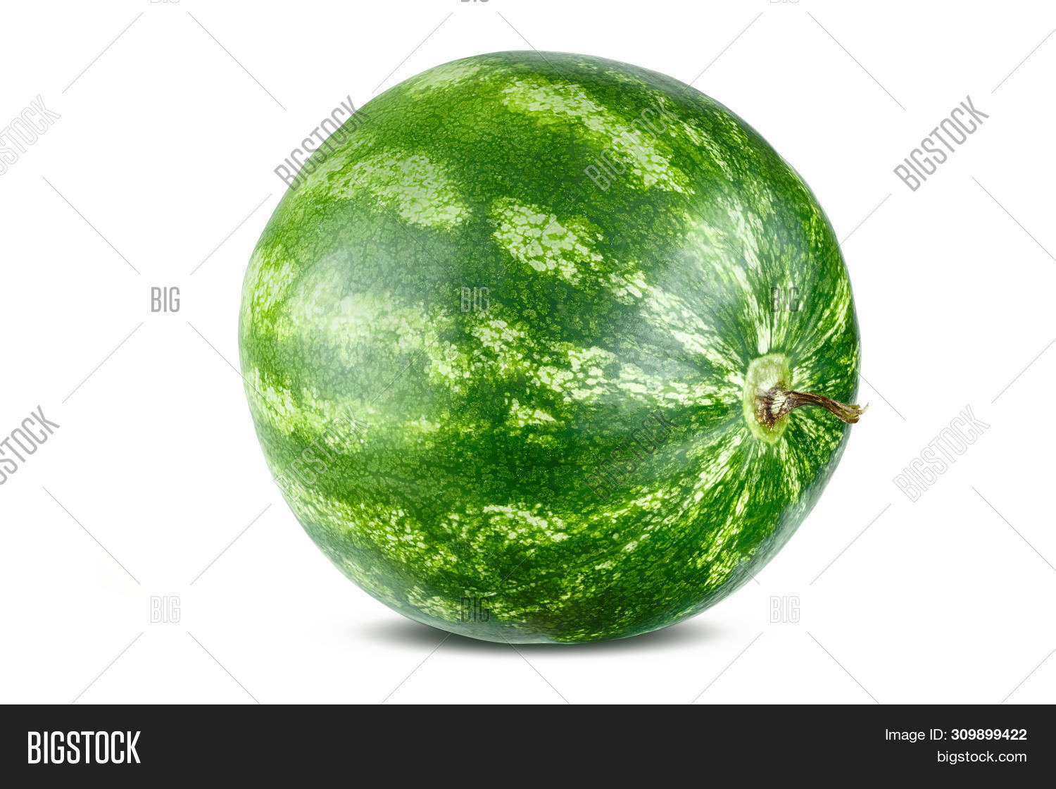 Whole Watermelon Image & Photo (Free Trial) | Bigstock