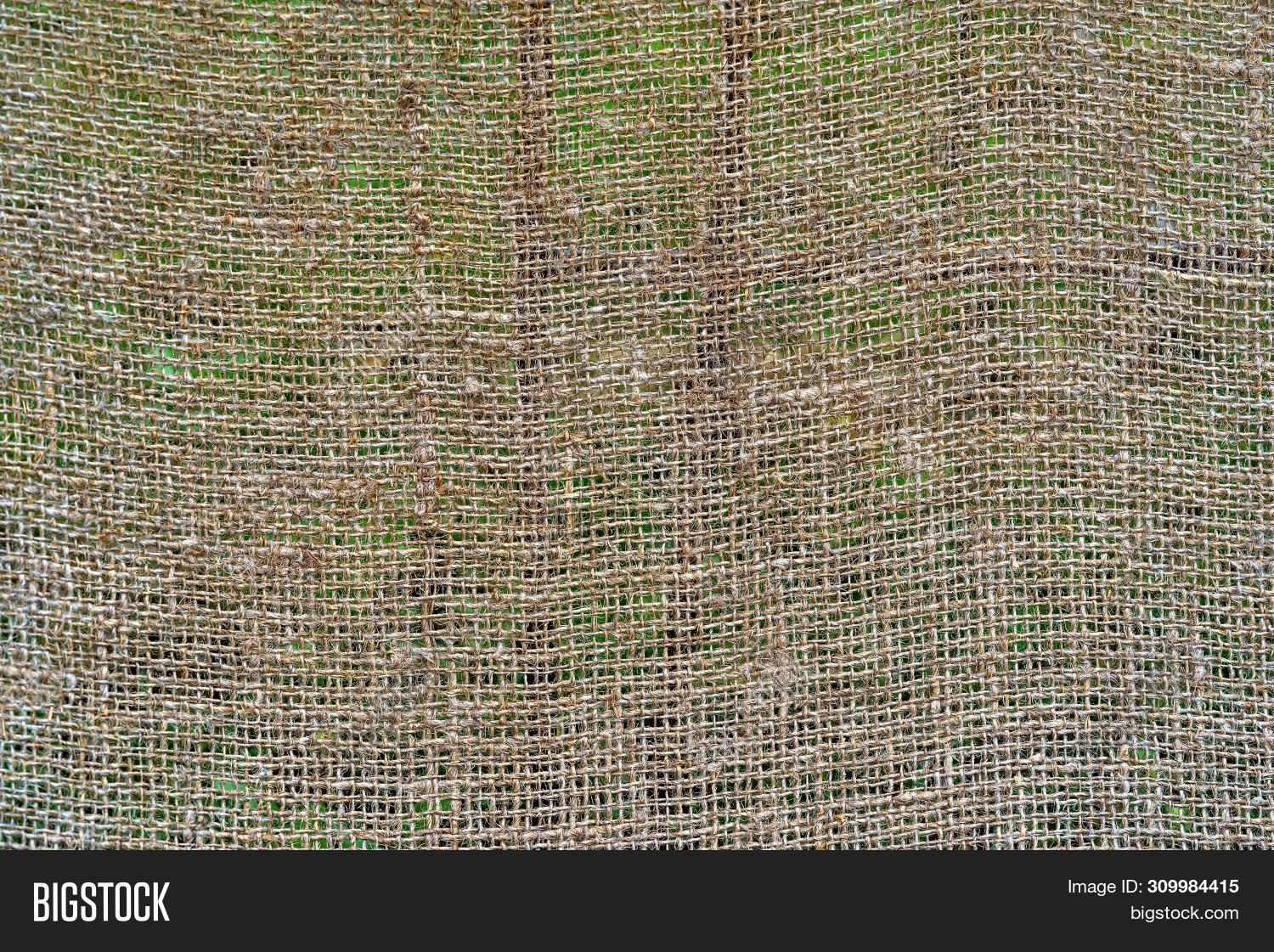 Texture Rough Mesh Image & Photo (Free Trial) | Bigstock