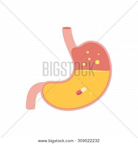 Stomach Capsule Pill Vector & Photo (Free Trial) | Bigstock